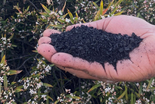 Biochar Soil Improver | Natural Soil Enhancer | Food2Soil