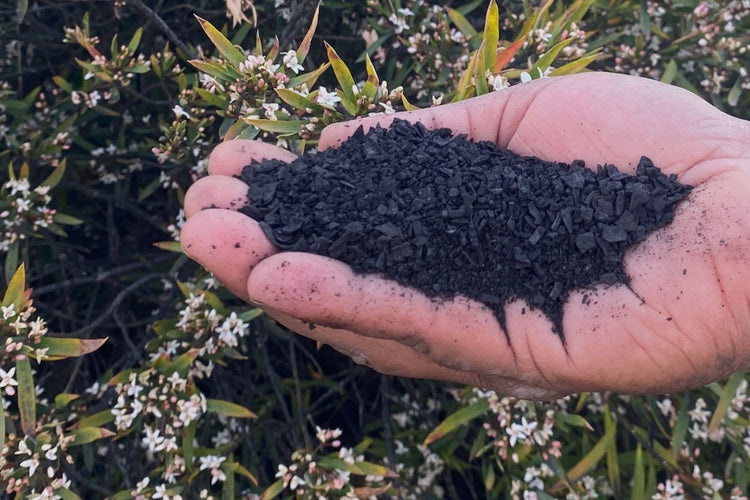 Biochar Soil Improver | Natural Soil Enhancer | Food2Soil