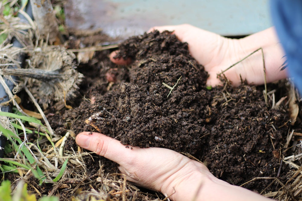 Commercial Biofertiliser Orders | Food2Soil