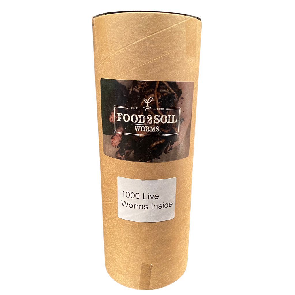 Live Worms Starter Pack | 3 Species | 1,000 or 4,000 Worm Packs – Food2Soil